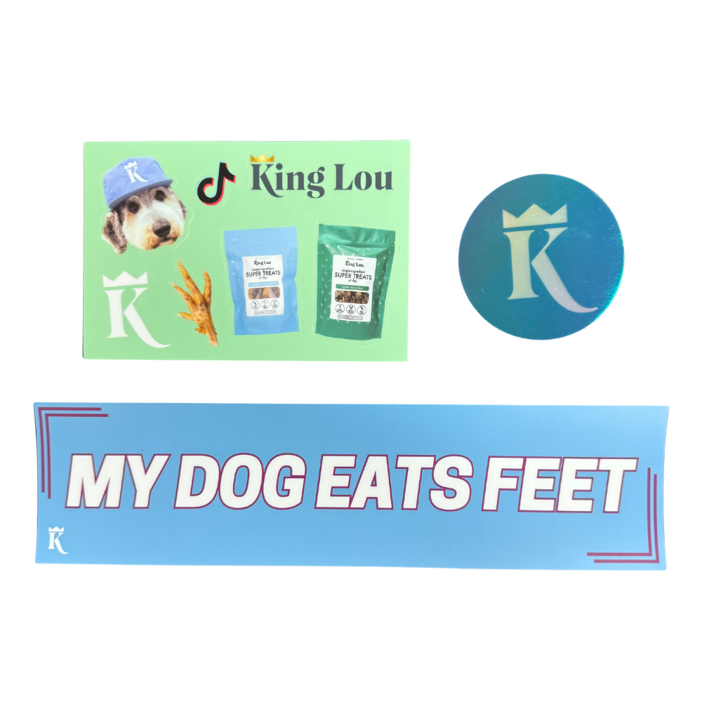 Summer '25 Sticker Set – King Lou Pets